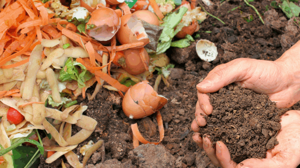Beginner’s Guide to Composting: How to Make Compost In 8 Easy Steps ...
